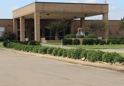 Case Study - Freestone Medical